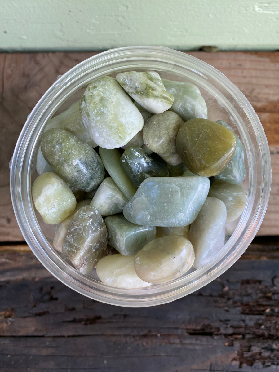 Jade Polished Pebbles | Mickey Hargitay Plants